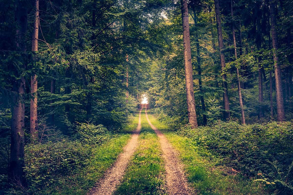 Eternal Life is More Than a ‘Forevermore Life’ | Und...